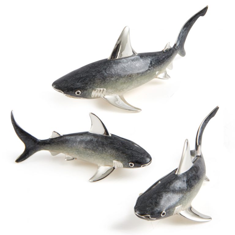 Shark Family – Swimming